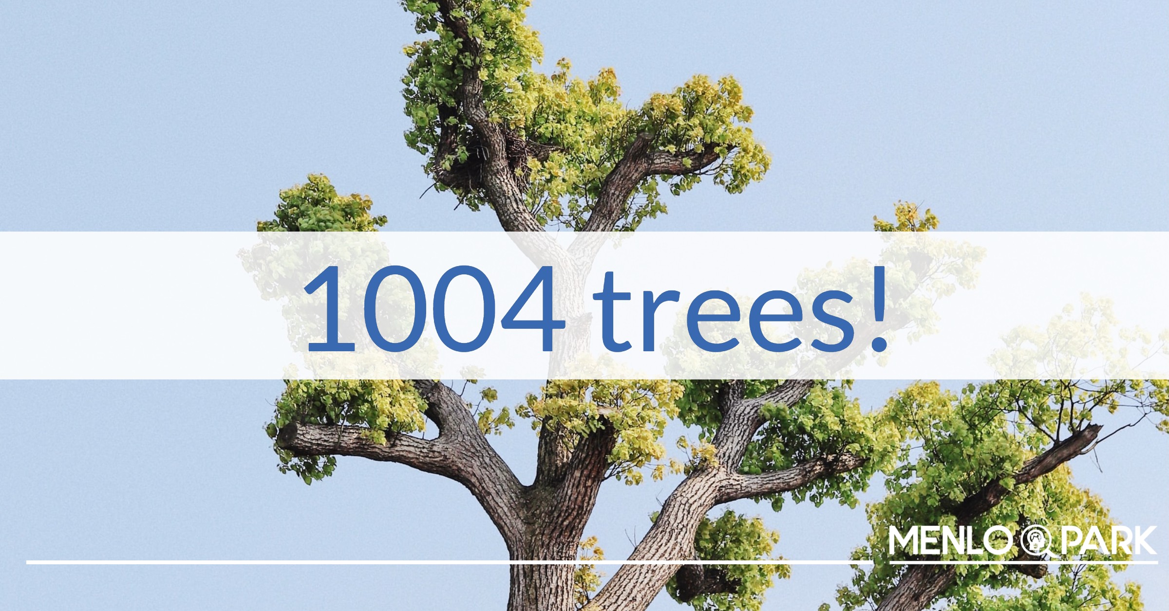 Planting Success - 1000 Trees! - Menlo Park Recruitment